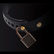 Qiui Little Devil Collar Electric Shock Collar Qiui Collar – cellmateshop